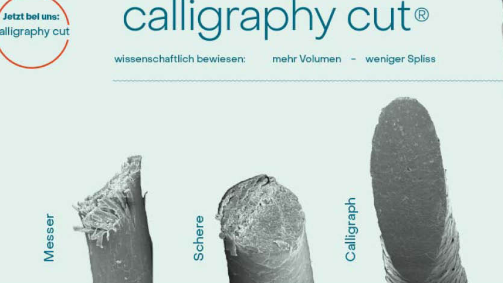 Calligraphy Cut oder Schere?
